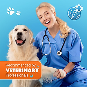 NBJU Probiotics for Dogs Cat Probiotic Chews Support Gut Health, Immunity Health, Diarrhea, Digestive Health & Seasonal Allergies - Chicken Flavor - 30 Chews Prebiotics and Probiotics