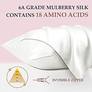 OLESILK 22 Momme Mulberry Silk Pillowcase Queen Size 20''x30'', 100% Pure Silkfor Hair and Skin with Hidden Zipper, Both Sides 750 Thread Count Washable Real Silk Pillow Cover, Ivory