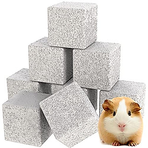 WANBAO 1.6 Inch Hamster Molar Lava Block, Small Animal Teeth Grinding Lava Block, for Rabbits, Parrots Etc 12 Pcs