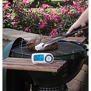 Taylor Gourmet Wireless Remote Thermometer
