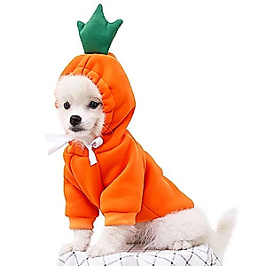 Puppy Raincoat for Small Dogs Girl Clothing for Dogs Warm Coats Casual Jacket Pet Clothes Dog Close for Boys