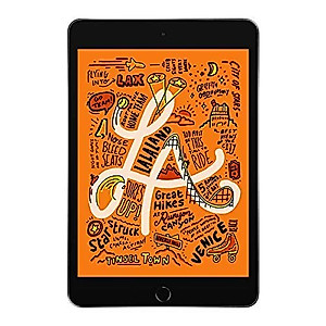 Apple iPad Mini, 5th Gen (Wi-Fi, 64GB) - Space Gray (Renewed)