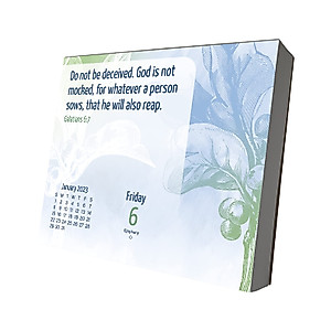 2023 Bible Verses Day-at-a-Time Box Calendar