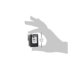 VersaInk-Nano HP 65 MS MICR Black Ink Cartridge for Check Printing, 1