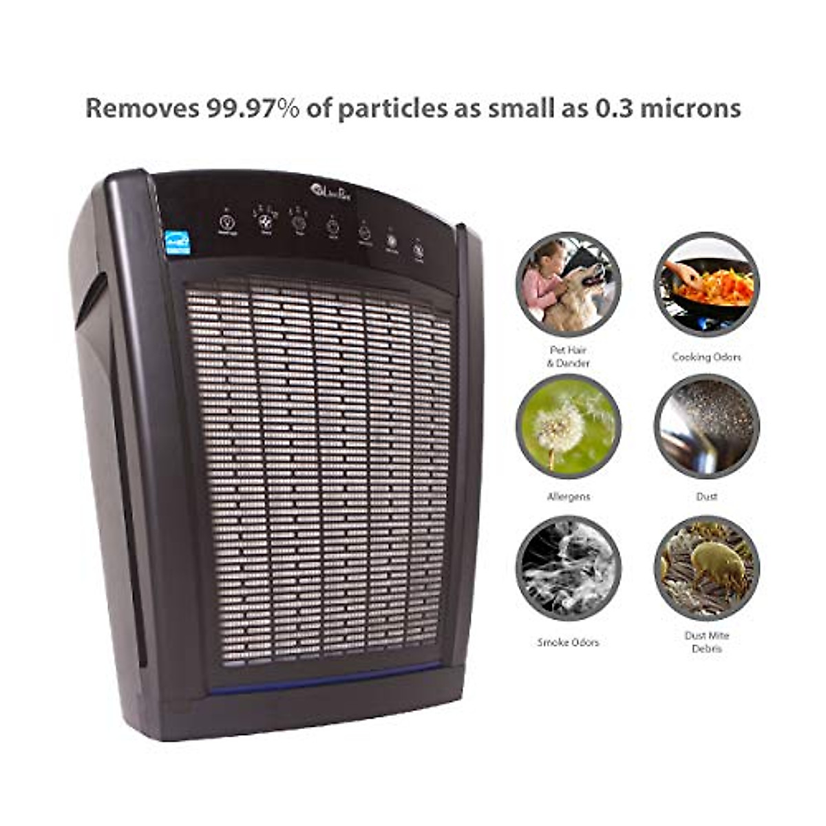 LivePure Bali Series Multi-Room Whole House Large Console Air Purifier, True HEPA Filter Captures Allergens, Smoke, Mold, Pollen, Dust Mites, Slate Black