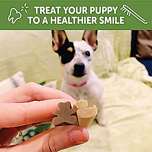 WHIMZEES by Wellness Puppy Natural Dental Chews for Dogs, Long Lasting Treats, Grain-Free, Freshens Breath, Extra Small/Small Breed, 30 count