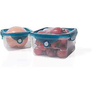 Handy Gourmet Flexi-Top Reusable Containers, BPA Free - Square, Set of 2