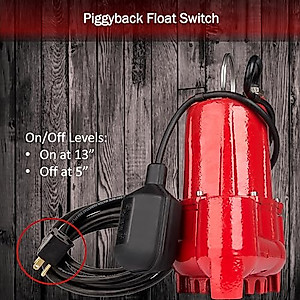 Red Lion RL-SC50T 115-Volt, 1/2 HP, 4300 GPH Cast Iron Sump Pump with Tethered Float Switch, 10-Ft. Cord, Red, 14942746