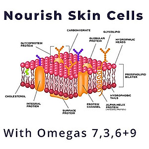 SeabuckWonders Organic Sea Buckthorn Body Lotion, 6 FL OZ