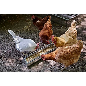 Little Giant® Metal Poultry Trough Feeder | Galvanized Steel Poultry Trough Feeder with Grate | 20"