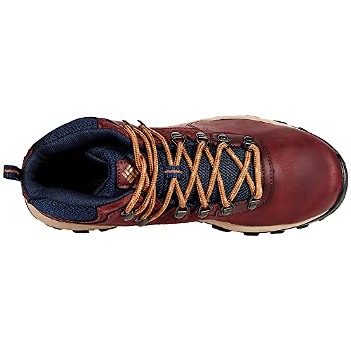Columbia Men's Newton Ridge Plus II Waterproof Hiking Shoe, Madder Brown/Collegiate Navy, 9.5
