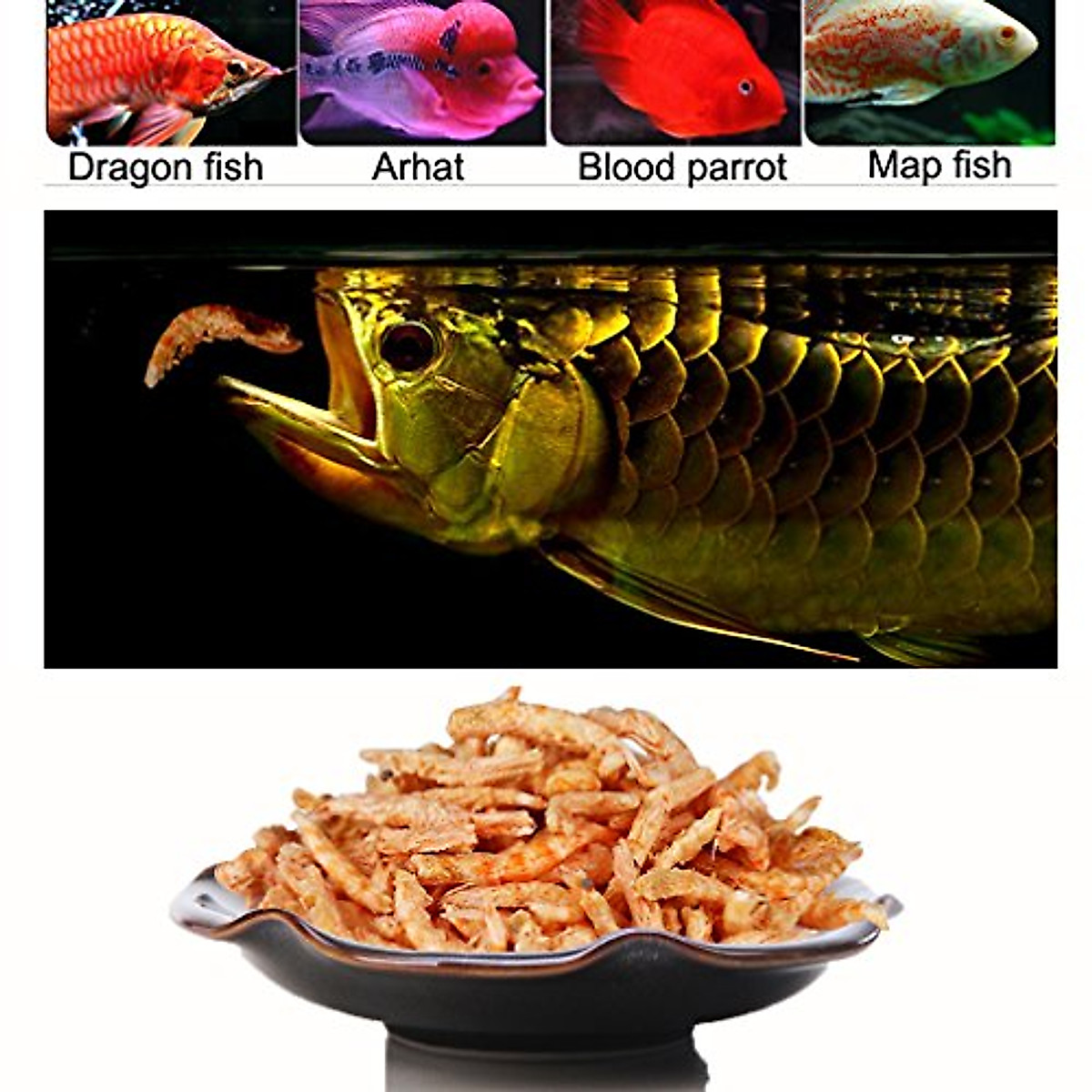 JackSuper 3000ml Fish Food Aquarium Pond Fish Food Arowana Food Floating Shrimp Freeze Dried Krill Carnivore Koi Tropical Cichlid Turtle (3000ml)