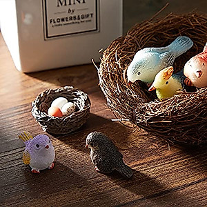 Jetec 30 Pieces Fairy Garden Accessories Bird Decorative Figurines Miniature Bird Figurines for Fairy Garden, Dollhouse Miniature, Cake Topper, Micro Landscape, Yard Bonsai Decal, Home Decoration