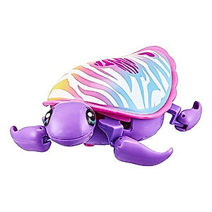 Little Live Pets 26348 Lil, S9 Single Pack-Styles Vary, Interactive, Animated Electronic Turtle, Walking & Swimming Movement, collectable pet Character Toy