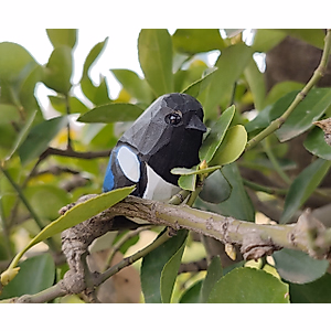 TALKLEK Hand Carved Wooden Bird Figurines, Creative Small Bird Statue for Home Decor, Bird Gifts for Bird Lovers (Blue Jay)