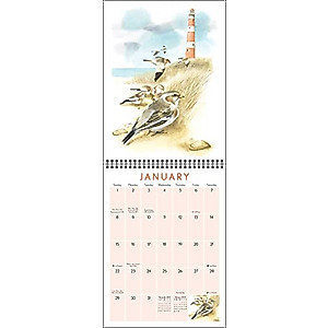 Marjolein Bastin 2023 Wall Calendar: Sea and Shore