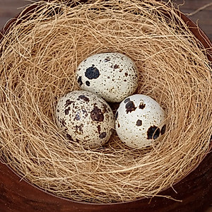 POPETPOP Coconut Fiber for Birds, Nesting Box Pads Chicken Nesting Pads Natural Coconut Fiber Nest Lining Material for Small Birds and Animals for Nest Building Bedding Hideouts 500g