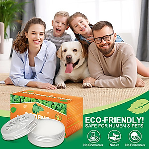 6 Pack Peppermint Mouse Repellent - Rat Repellents for Outdoor Car Engines Garages House, Rat Deterrent, All Pest Repellent for Mice, Rats, Snake, Squirrel