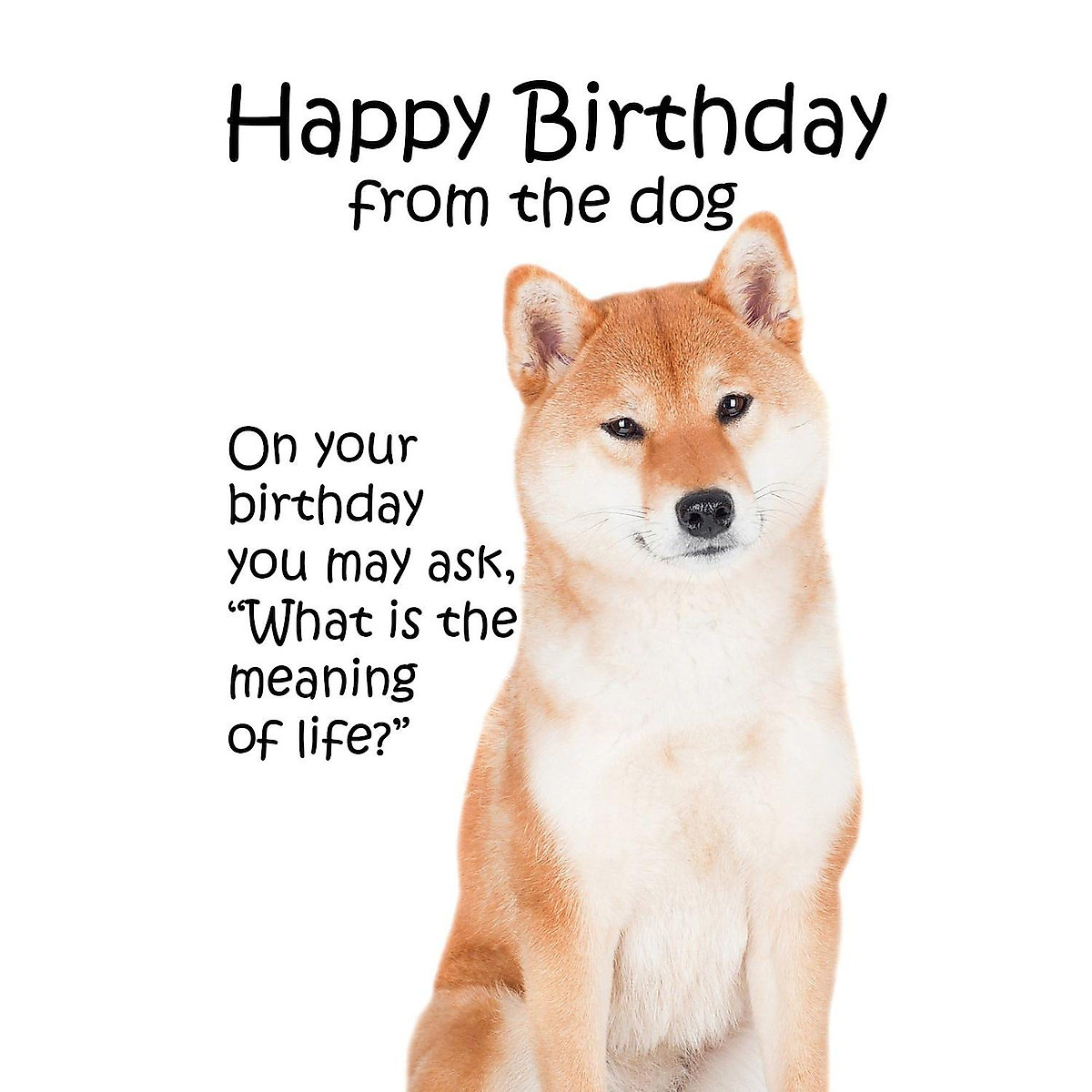 CafePress Funny Shiba Inu Birthday Greeting Cards Folded Greeting Card Matte