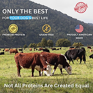 Back 40 Dogs Beef Bites - All Natural Premium Air Dried Dog Training Treats - Free Range Beef, Real Meat - High Protein Dog Food Toppers & Dog Treat - Puppy Essentials, Made in USA - 16oz