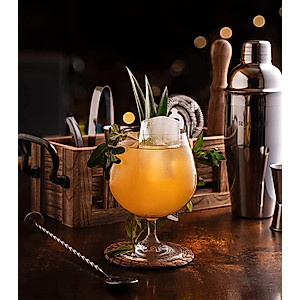 Mixology Bartender Kit with Stand | Home Bar Set with 25 Cocktail Recipes for Drink Mixing | Ideal Bartending Kit for Housewarming Gift | Premium Martini Cocktail Shaker Set with Bar Tools Accessories