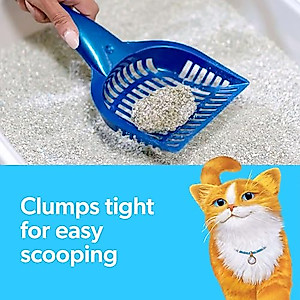 Fresh Step Odor Shield Clumping Litter With Febreze Freshness, 14 lb. Box