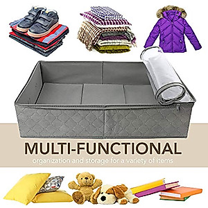 Foldable Underbed Storage Bags, Closet Organizers and storage bins, Clothes Blankets Organizer, with Clear Window and Reinforced Handles, 24” x 16” x 6", Gray, Pack of 2