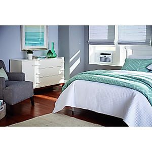 Frigidaire FFRE053WAE Window Air Conditioner, 5000 BTU, White