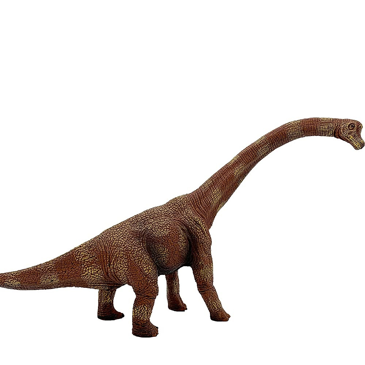 Large Dinosaur Toy Brachiosaurus 13.4”, Realistic Dinosaur Toy Figure, Plastic Hand-Painted Dinosaur Figurine Model, Educational Jurassic Dinosaur Action Figures for Collection Party Favor Home Décor
