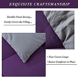 ELNIDO QUEEN 3 Pieces Comforter Set (Cal-King, Purple & Grey) - 1 Reversible Down Alternative Comforter with 2 Pillow Shams - Soft Lightweight Duvet Insert | 104x96 inch