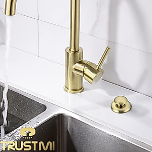 TRUSTMI Garbage Disposal Air Switch Kit Long Brass Kitchen Sink Top Waste Disposer On/Off Button with Dual Outlet Socket Power Module, Brushed Gold