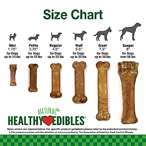 Nylabone Healthy Edibles All-Natural Long Lasting Bacon Flavor Chew Treats 1 count pack of 3 Bacon Small/Regular
