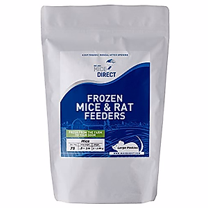 MiceDirect Frozen Pinkie Feeder Mice Food for Corn Snakes Ball Pythons Lizards (75 Count)