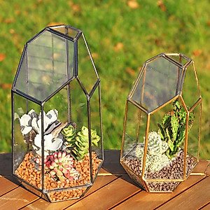 HappyFiller 1.6 LB Orange Gravels Decorative Terrarium 2-5mm Stones,Plants Topper Dressing,Bonsai Succulent Plants Soil Cover, Zen Fairy Garden,Grow Media Decor Cultivation Hydroponic Pebbles