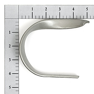 Sashay Drapery Holdback (Set of 2) Brushed Nickel