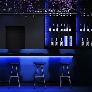 iNextStation Blue 16.4ft Neon LED Strip Lights, Flexible & Waterproof, Cuttable & Dimmable, IP65, 600 SMD LEDs, 12V Direct Current, Suitable for Indoor and Outdoor Use