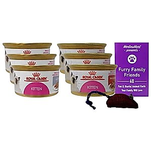 Royal Canin Kitten Food 2 Flavor Textures 6 Can Sampler, (3) Each: Thin Slices in Gravy, Loaf in Sauce (3 Ounces) - Plus Catnip Toy and Fun Facts Booklet Bundle
