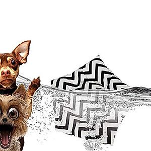 Pet Teepee Tent for Dogs Puppy Cat Bed White Canvas Dog Cute House Pet Teepee with Cushion 24inch Indoor Outdoor (White&Black)