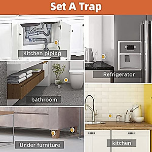 ANEWNICE Roach Repellent, Cockroach Repellent, Roach Repeller for Indoor and Outdoor Use,Ultra-Pure Peppermint Oil- for Cockroach, Ants,Mice and More,Roach Control, Safe Around Pet & Plant - 8 Count