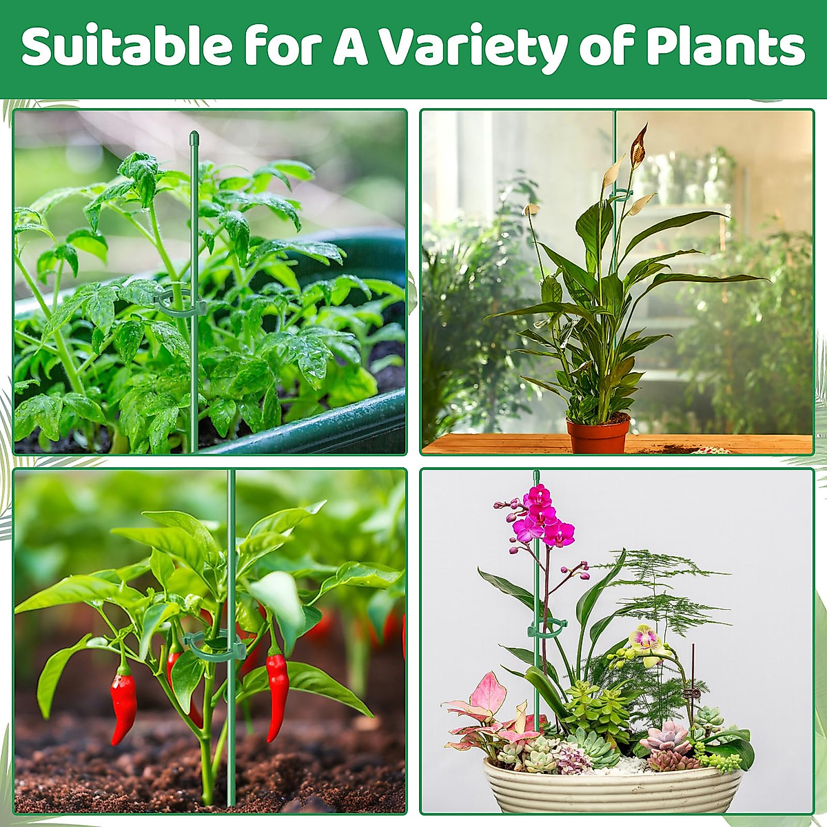 Plant Stakes, 28 Pcs Plant Support Sticks Adjustable Length with 28 Clips and 14 Links for Indoor Outdoor Garden Potted Rose Tomato Vegetables-16 & 12inch