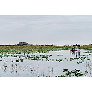 Abu Garcia Zata Baitcast Low Profile Reel and Fishing Rod Combo, 7' - Medium Heavy - 1pc Green