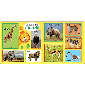 My First 101 ANIMALS Padded Board Book