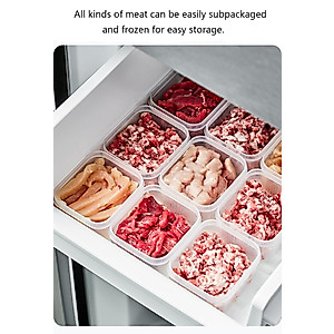 RabyLeo Japanese-style refrigerator storage box one person eats frozen meat sub-compartment box frozen fresh-keeping food sauce sealed sub-package box. (Transparent & Small 4-Piece Set)