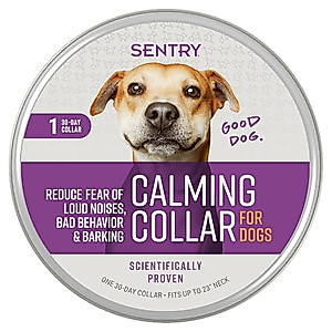 SENTRY PET Care Sentry Calming Collar for Dogs, Anxiety Reducing Pheromone Collar, Releases Pheromones for 30 Days, Helps Calm During Loud Noises and Separation, 1 Count, Purple