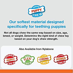 Nylabone Puppy Chew Toy Twin Pack - Puppy Chew Toys for Teething - Puppy Supplies - Medley & Chicken Flavor, X-Small/Petite (2 Count)