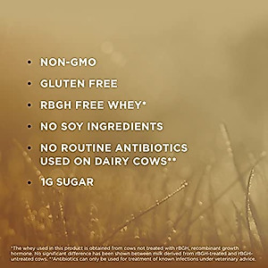 Whey To Go Protein Powder Natural Chocolate Cocoa Bean Flavor By Solgar - 41 oz