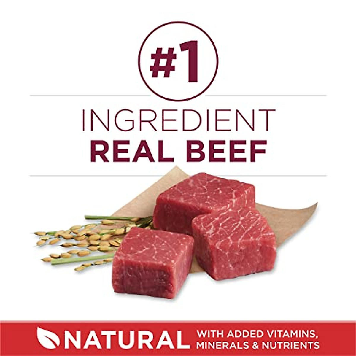 Purina ONE Small Bites Beef and Rice Formula Small Dog Food Dry - 8 lb. Bag