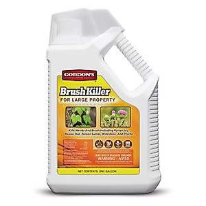 GORDON'S Brush Killer for Large Property