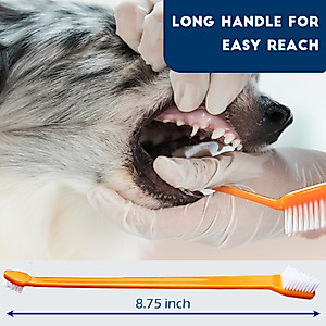 MoonyMars 300 Pcs Dog Toothbrush Cat Tooth Brushes Bulk, Double Sided Brushing Kit, Teeth Cleaning Kit Soft Bristles Long Handle, Pet Tooth Brush for Small to Large Dog, Cat, Puppy & Kitten, 10 Colors