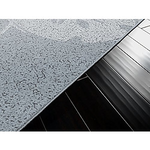 Brumlow Mills Beach and Ocean Area Rug for Living or Bedroom Carpet, Dining or Kitchen Rug, Deck, Patio or Home Decor, 2'6" x 3'10", Muted Blue Sand Dollars